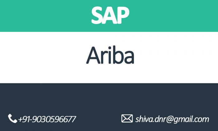 SAP ARIBA Video Tutorials