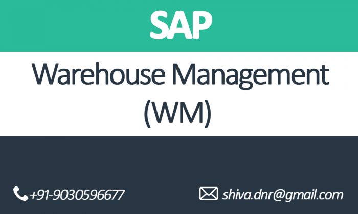 SAP Warehouse Management(WM) video tutorials